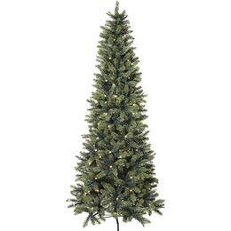 LED-Tannenbaum schlank, inklusive Ständer, Höhe 1800 mm, mit 250 LEDs kaiserkraft