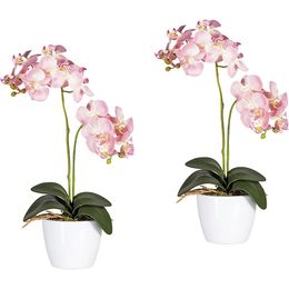 Phalaenopsis im weißen Keramiktopf, Höhe 500 mm, VE 2 Stk, Blüten rosa kaiserkraft