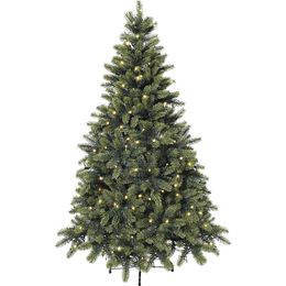Tannenbaum mit LEDs, inklusive Ständer, Höhe 210 cm, 450 LEDs kaiserkraft