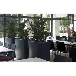 DEGARDO Pflanzbeh&auml;lter, TREVIA 900K, HxBxT 900 x 900 x 390 mm, anthrazit