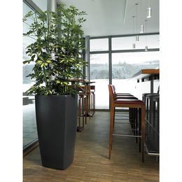 DEGARDO Pflanzbeh&auml;lter, TREVIA IV, HxBxT 900 x 470 x 470 mm, anthrazit