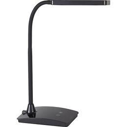 Maul LED-Tischleuchte Maulpearly colour vario, dimmbar, 616 lm, 5 W, schwarz