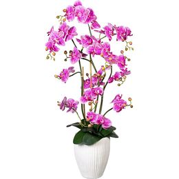 Orchidee Phalaenopsis, real touch, in Keramikvase, Höhe ca. 1100 mm, lilapink kaiserkraft