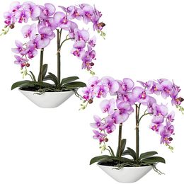 Phalaenopsis, real touch, Höhe 530 mm, VE 2 Stk, Keramikschale, orchidee kaiserkraft