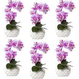 Phalaenopsis, real touch, Höhe 330 mm, VE 6 Stk, Keramiktopf, orchidee kaiserkraft