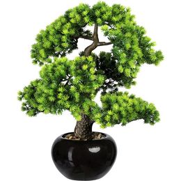 Bonsai Lärche, mit Kies, im Keramiktopf, schwarz, Höhe 480 mm, Topf 180 x 110 mm kaiserkraft