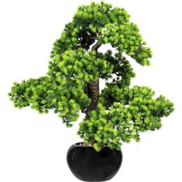 Bonsai Lärche, mit Kies, im Keramiktopf, schwarz, Höhe 600 mm, Topf 200 x 120 mm kaiserkraft