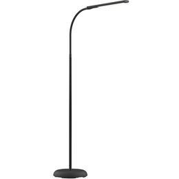 Maul LED-Standleuchte Maulpirro, dimmbar, 6 W, schwarz