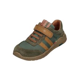 KOEL Sneaker Low Shane in grün | Gr.: 35