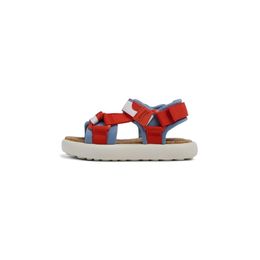 Camper Sandalen " Pelotas Flota " in Rot Blau | Gr.: 25