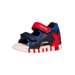 Geox Sandalen in Navy/Rot | Gr.: 25
