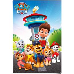 Poster Reinders "Paw Patrol team", bunt (farbe bild(er): mehrfarbig), B:61cm H:91,5cm, Papier, Bilder