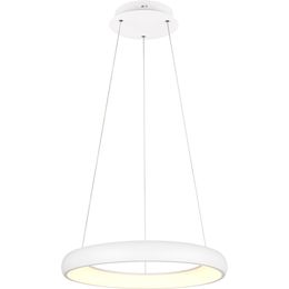 Trio LEUCHTEN LED Pendelleuchte "CARDONA, LED Ring Hängeleuchte, 4400 Lumen 38W, Lichtfarbe einstellbar", weiß (weiß matt), 1, Ø 62cm H: 150cm, 1 Stk., Leuchten, 2300/3000/4000K warmweiß bis kaltweiß, 3 Stufen dimmbar Höhe 150cm Ø62