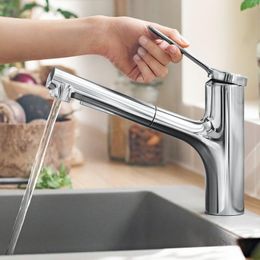 Hansgrohe Zesis M33 Küchenarmatur, ausziehbar, schwenkbar, 74800000,