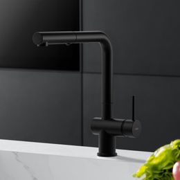 Fortis Brera extend K&uuml;chenarmatur mit 2 Strahlarten, schwenkbar, Auslauf ausziehbar, 0056600MB,