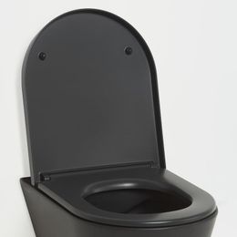 Kartell LAUFEN WC-Sitz, H8913337160001,
