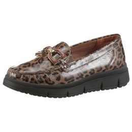 Waldläufer Mokassin WALDLÄUFER "H-PINA", Damen, Gr. 5,5 (38,5), taupe, leo, Lackleder, animal-print, glänzend, Schuhe, Slipper, Schlupfschuh, Loafer, in Komfortweite H (= sehr weit)