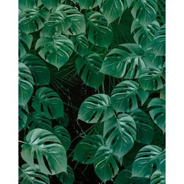 Vliestapete Komar "Digitaldruck Vlies - Monstera on Marble - Größe 200 x 250 cm", grün, B:200m L:250m, Vlies, Tapeten, Wohnzimmer, Schlafzimmer