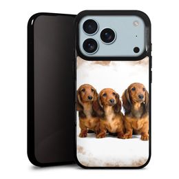 DeinDesign iPhone 17 Pro Handy Silikon H&uuml;lle Case schwarz Handyh&uuml;lle Pet Dachshund Dog