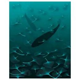 Vliestapete Komar "Digitaldruck Vlies - Ginkgo - Größe 200 x 250 cm", bunt (bunt, schwarz), B:200 L:250, Vlies, Tapeten, Wohnzimmer, Schlafzimmer