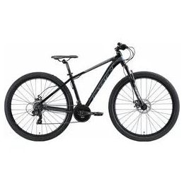 Mountainbike Bikestar Gr. 43, blau, Fahrr&auml;der, 43cm, 29 Zoll (73,66cm), f&uuml;r Damen und Herren, Kettenschaltung