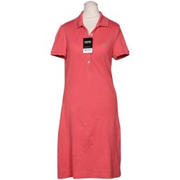 Lacoste Kleid Damen Größe XS Second Hand pink