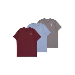 Abercrombie & Fitch Abercrombie & Fitch T-Shirt Jungen Gr&ouml;&szlig;e 146/152 hellblau / dunkelgrau / kirschrot / wei&szlig;