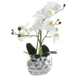 Kunstpflanze LEONIQUE "Orchidee", bunt (weiß, silberfarben), B:13cm H:38cm T:6,5cm, Keramik, Kunststoff, Polyester, Kunstpflanzen, Kunstpflanze, Kunstorchidee, im Topf, Bestseller, über 2500 4,5-Sterne-Bewertungen