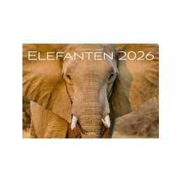 Heel Verlag Kalender - Elefanten Kalender 2026 | Gr.: onesize