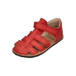 KOEL Sandalen ARIN NAPPA in rot | Gr.: 25