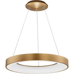 NOVA LUCE LED-H&auml;ngeleuchte &raquo;RANDO THIN&laquo; LED-Modul 1 Stk. Warmwei&szlig; Gold