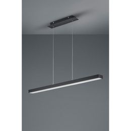 REALITY LEUCHTEN LED Pendelleuchte »Agano« LED-Board 1 Stk. Farbwechsler schwarz matt, Pendellampe mit Touch Dimmer, Lichtfarbe einstellbar schwarz...