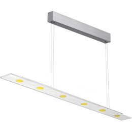 Evotec LED Pendelleuchte »SUN LED« LED-Board 1 Stk. Warmweiß LED Hängelampe, LED Hängeleuchte, dimmbar edelstahlfarben/weiß