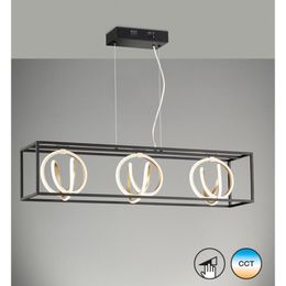 Fischer und Honsel FISCHER & HONSEL Pendelleuchte »Gisi« LED-Modul 1 Stk. warmweiß - kaltweiß schwarz