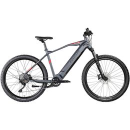 Z&uuml;ndapp Z&Uuml;NDAPP &raquo;Z808&laquo; 10 Gang Kettenschaltung Heckmotor 250 W Pedelec, Elektrofahrrad f&uuml;r Damen u. Herren, MTB grau, rot+schwarz