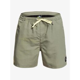 Quiksilver Boardshorts »Beach Please 16"« Four Leaf Clover XXL XXL Material: Nylon-Stoff