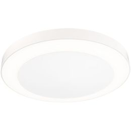 Paulmann Deckenleuchte »Circula« 1 Stk. Warmweiß Deckenlampe, nickel-matt, 22, 5 cm, warmweiß, Deckenleuchte, Lampe weiß