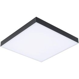 Paulmann LED Panel »Velora Rainbow« 1 Stk. Tageslichtweiß schwarz
