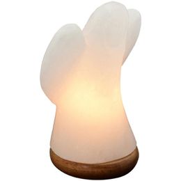 Himalaya Salt Dreams Salzkristall-Tischlampe &raquo;Engel&laquo; E14 1 Stk. Warmwei&szlig; Handgefertigt aus Salzkristall - jeder Stein ein Unikat, H: ca.19 cm wei&szlig;