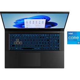 Medion Gaming-Notebook »MD62620« 43, 9 cm / 17, 3 ′′ Intel Core i7 GeForce RTX 4060 1.000 GB SSD schwarz Festplatte: 1000 GB SSD