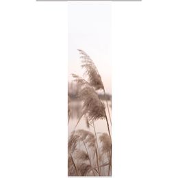 Home Wohnideen Schiebegardine &raquo;TRAWY&laquo; Paneelwagen 1 Stk. tlg. Schiebevorhang bedruckt natur Obermaterial: 100% Polyester 245 cm