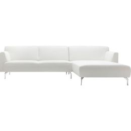 CREATION BY ROLF BENZ Ecksofa »CR.446 Designsofa mit erstklassigem Sitzkomfort, Breite 317cm« in minimalistischer, schwereloser Optik, Breite 317...