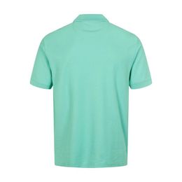U.S. Polo Assn. Kurzarmhemd »Polo Alfred« Pool Blue M - Normalgrößen Normalgrößen M Klassisches Poloshirt mit Kragen