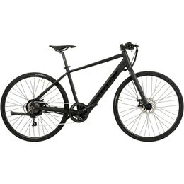 Totem &raquo;HMR&laquo; 7 Gang Shimano Tourney Schaltwerk Kettenschaltung Heckmotor 250 W Pedelec, Elektrofahrrad f&uuml;r Damen u. Herren Schwarz+schwarz