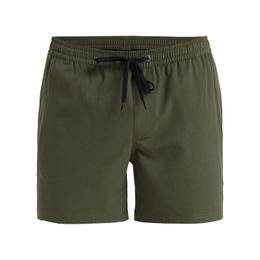 Quiksilver Boardshorts »Everyday Flex Volley 15"« braun XL XL Beschichtung: Hydrophobe Behandlung ohne PFC