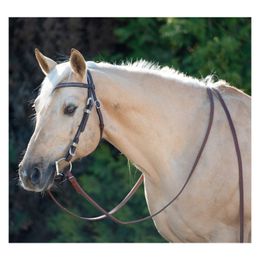 Passion 4Q Westerntrense braun Cob