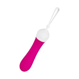 EIS Minivibrator mit Halteschlaufe, 13,5 cm