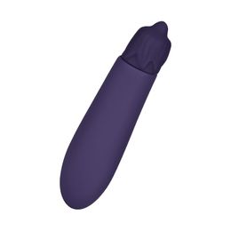 EIS Aubergine-Minivibrator, 12 cm