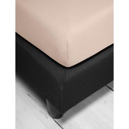 Spannbettlaken Irisette "Jupiter 8", beige (creme), 1 Stk., Mako-Jersey, 100x190 100x200 90x190 90x200 25, Mako-Jersey, Obermaterial: 100% Baumwolle, Bettlaken, aus Baumwolle, für Matratzen bis 25 cm Höhe, Bettlaken, Spannbetttuch