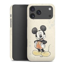 DeinDesign iPhone 17 Pro Max Handy Premium Case Smartphone Handyh&uuml;lle Schutzh&uuml;lle gl&auml;nzend Water Colour Official Licensed Product Premium Case